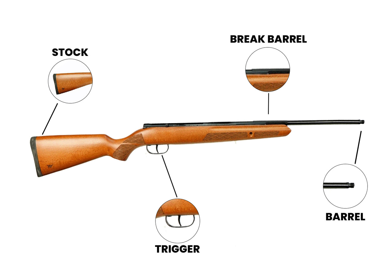 single-shot spring Air Rifle Model 55RS with moderator .22 - Wincheste